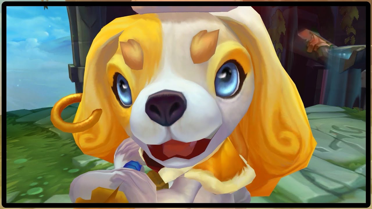 Fuzz Fizz Prestige Edition 2022.face - YouTube