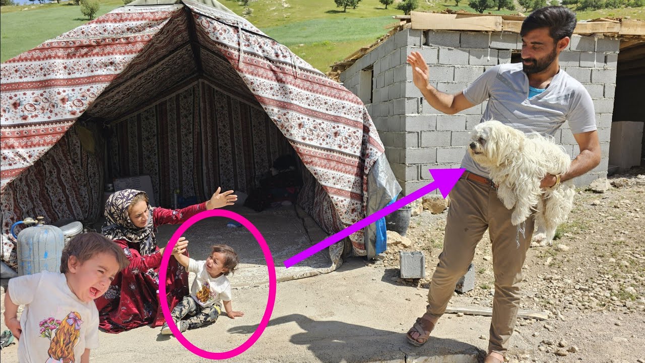 "Rescue mission: return a pet dog to its owner" - YouTube