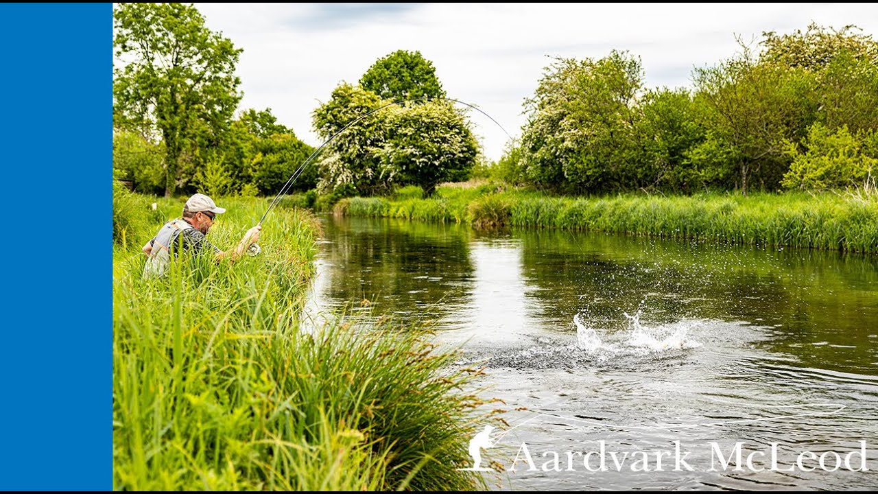 Mayfly Moments At Wherwell On The River Test - YouTube