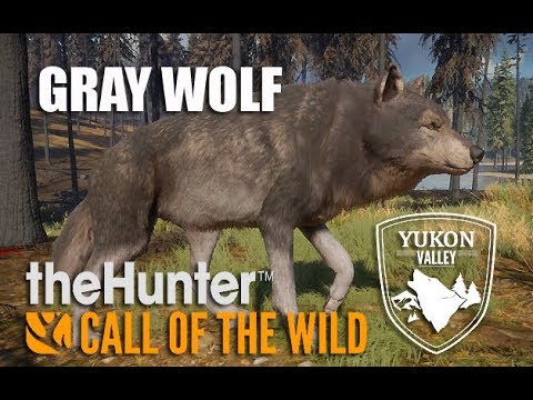 theHunter: Call of the Wild - Yukon Valley - Wolf Hunting - YouTube