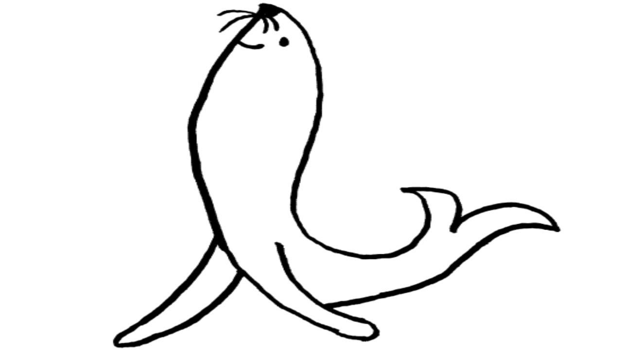 Realistic SEAL Animal Drawing Tutorial | Step-by-Step Guide - YouTube