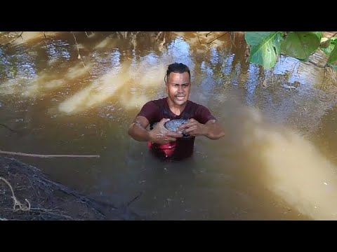 dalag hito tilapia Ang huli ni JAL GALA at boboy - YouTube
