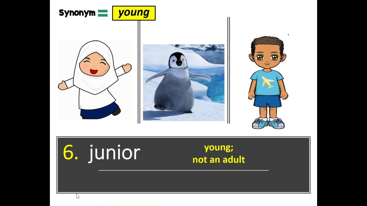 Second Grade Journeys' Lesson 21 Vocabulary Words & Pictures for the ...