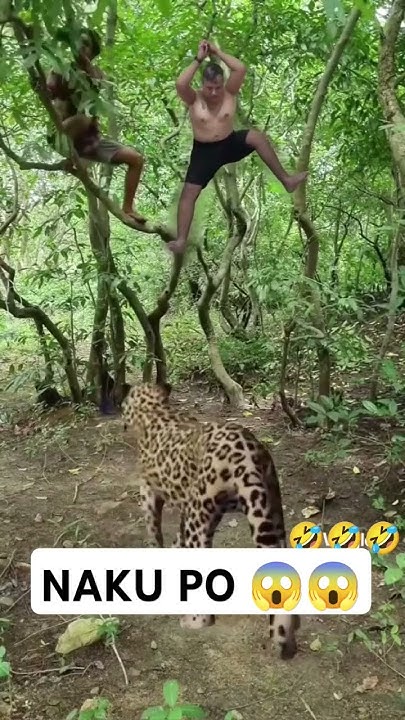 NAKU PO KAWAWA NAMAN 😱#fypage #fypシ゚ #funny #masterbnac #casanova - YouTube