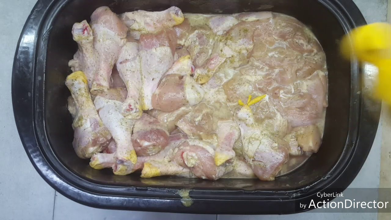 Pollo al disco - YouTube