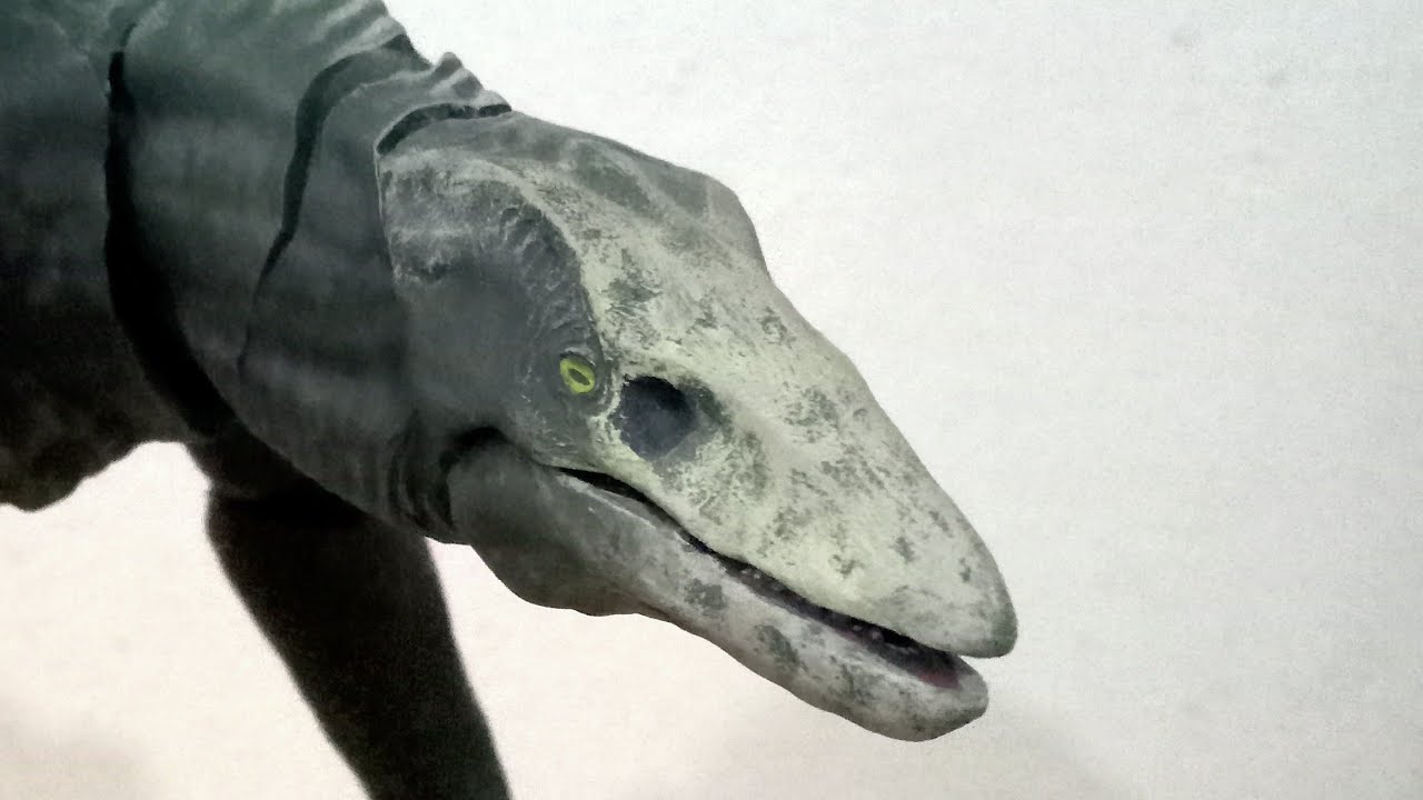 custom skullcrawler - YouTube