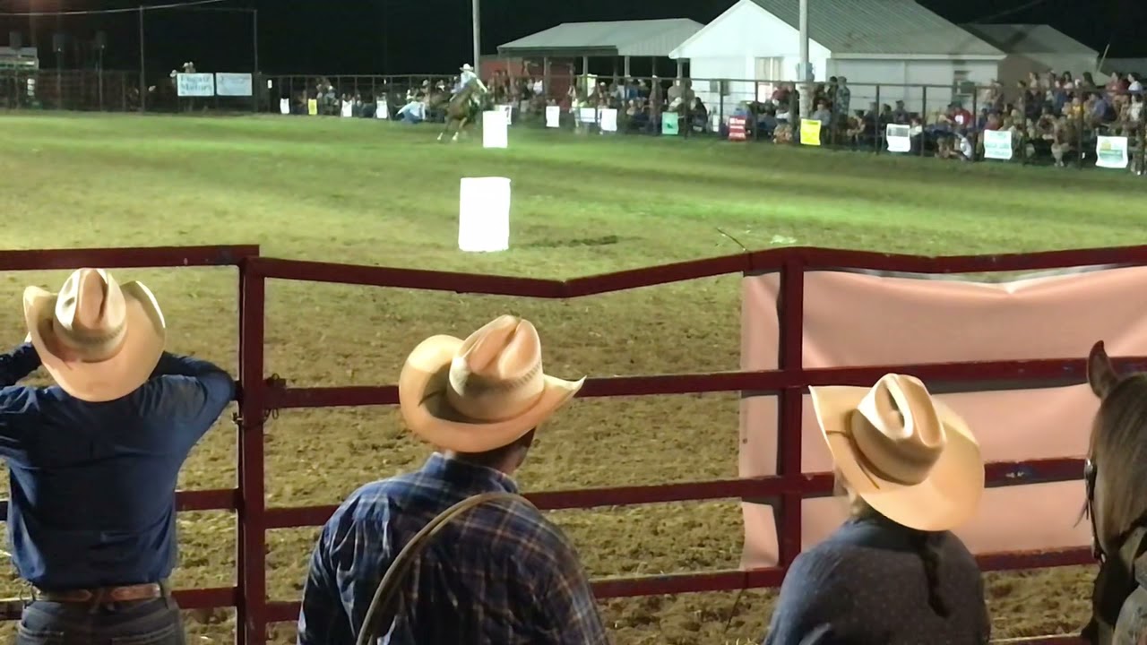Bugs at Missouri Rodeo - YouTube
