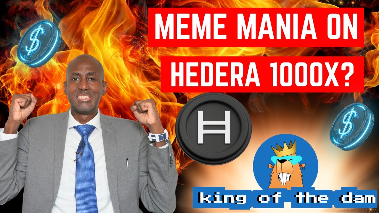 Meme Mania on Hedera: The Next Big Thing? - YouTube