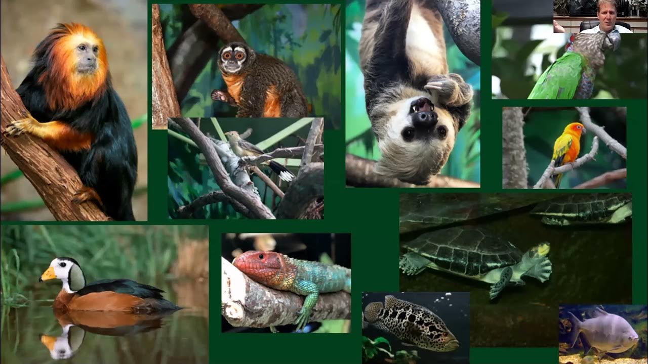 NBSC - The Role of the Modern Zoo; Utilizing Genetic Science for the ...