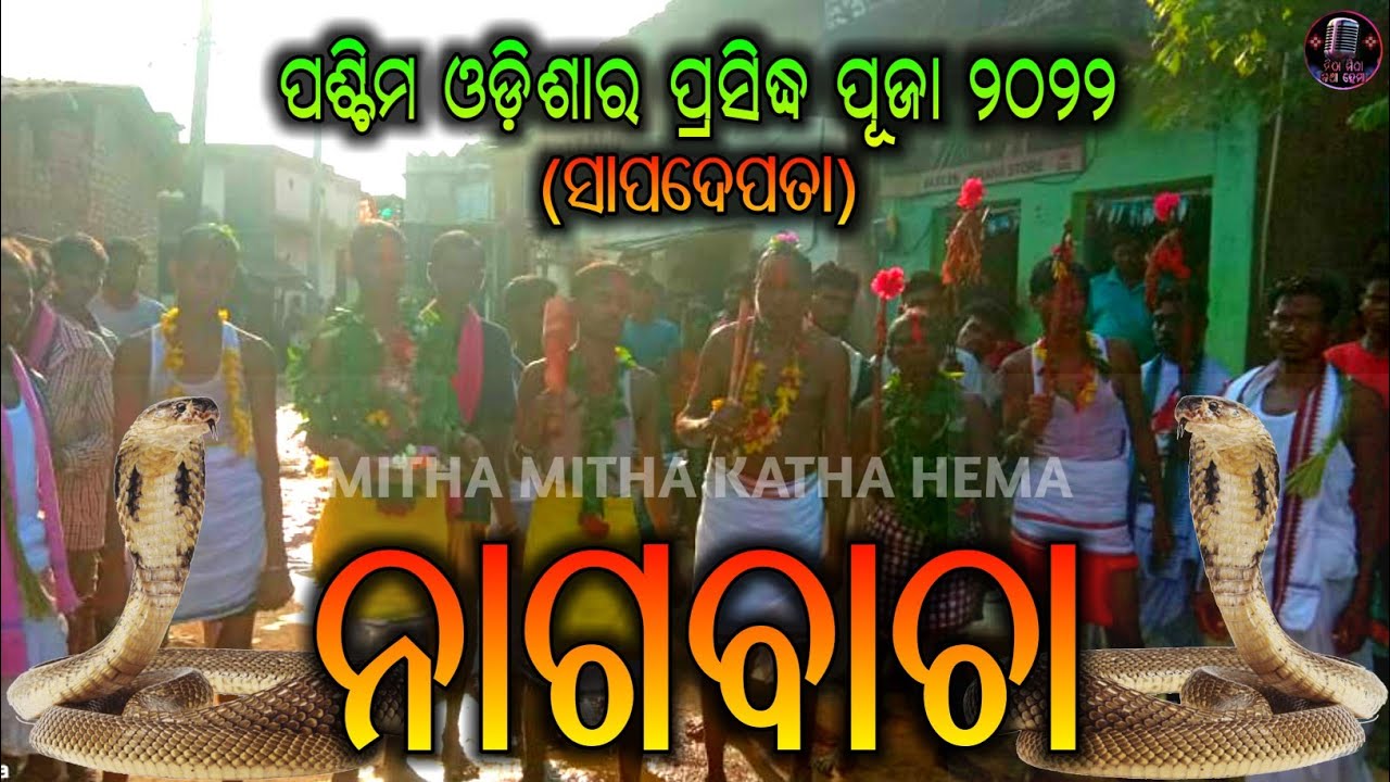 ସାପଦେପତା 🐍 ନାଗବାଚା ପଶ୍ଚିମ ଓଡ଼ିଶାର ପ୍ରସିଦ୍ଧ ପୂଜା ୨୦୨୨ ବରଗଡ଼ || Paschim ...