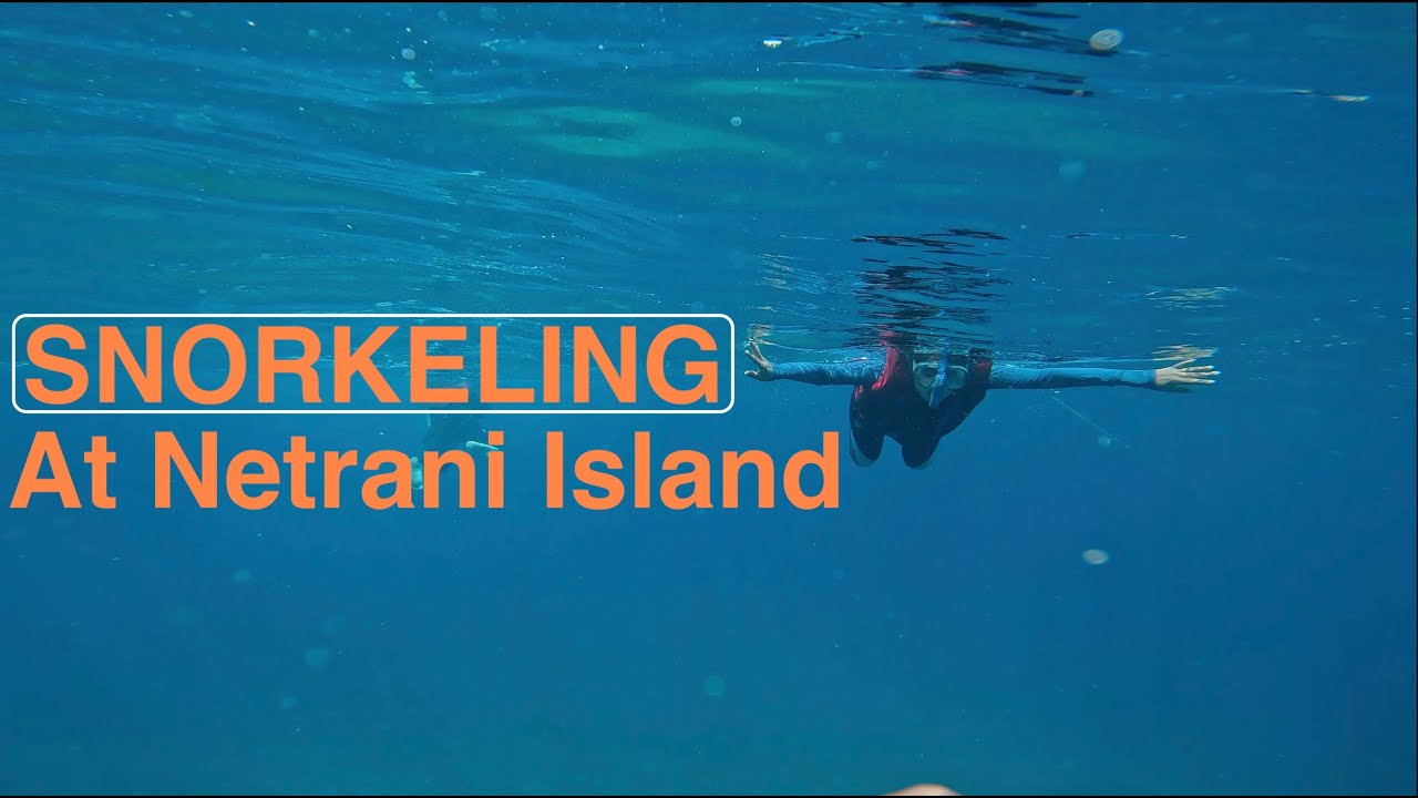 Exploring Underwater Paradise: Snorkeling Adventure at Netrani Island ...