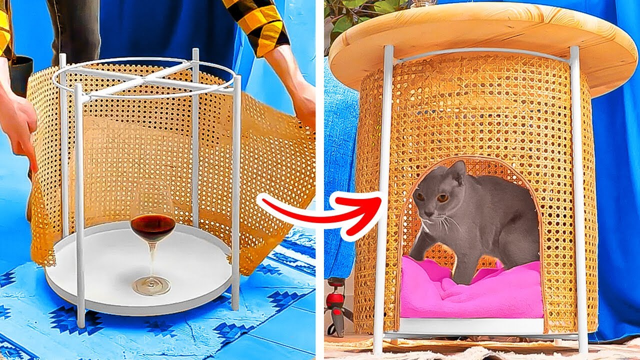 Brilliant DIYs For Your Lovely Pets - YouTube
