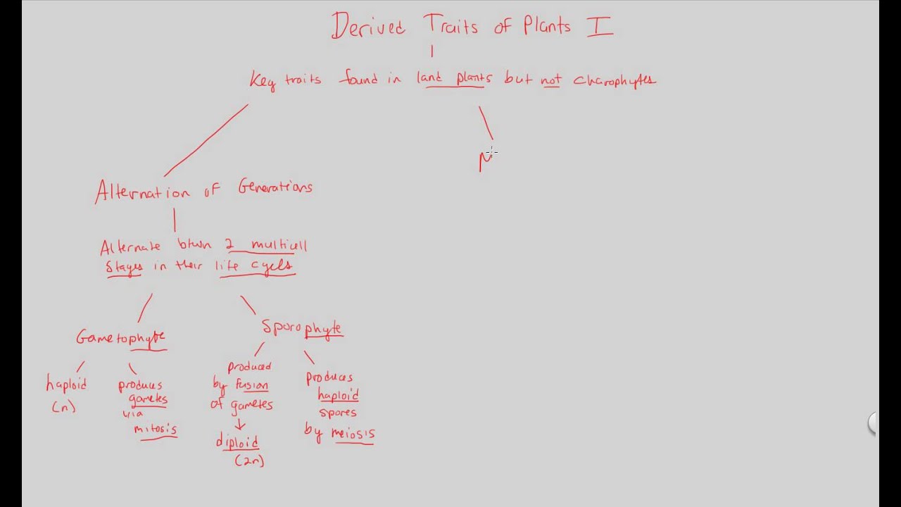 PD I - Derived Traits I | BIALIGY.com - YouTube