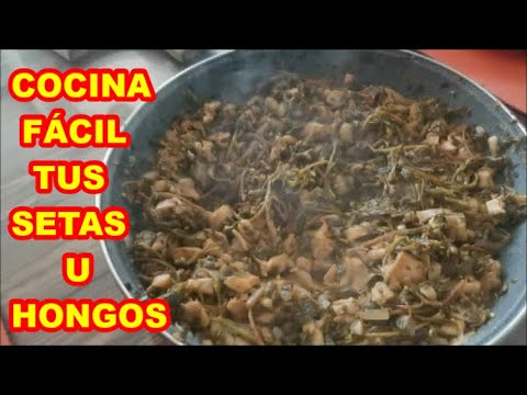 COCINA TUS HONGOS FÁCILMENTE, MUY RICOOOOOOOOOOOS - YouTube