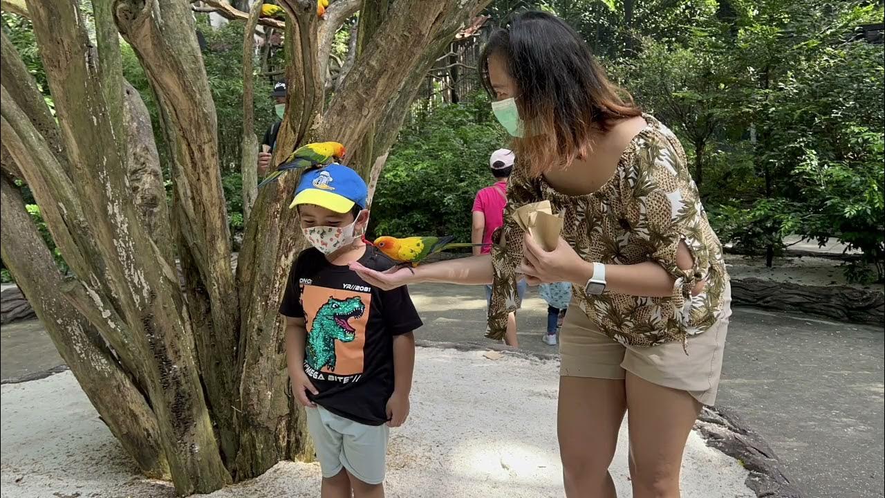 Safari world - YouTube