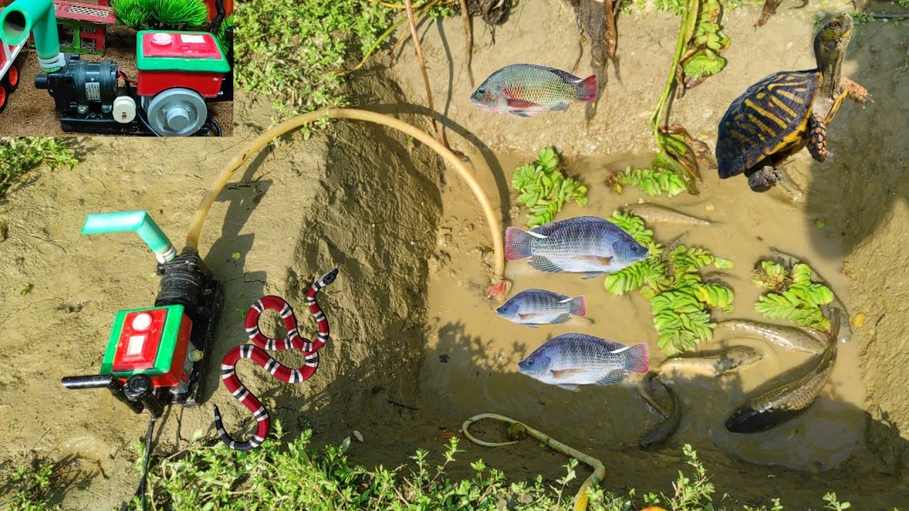 catch fish using mini water machine I fishing exciting I diy tractor ...