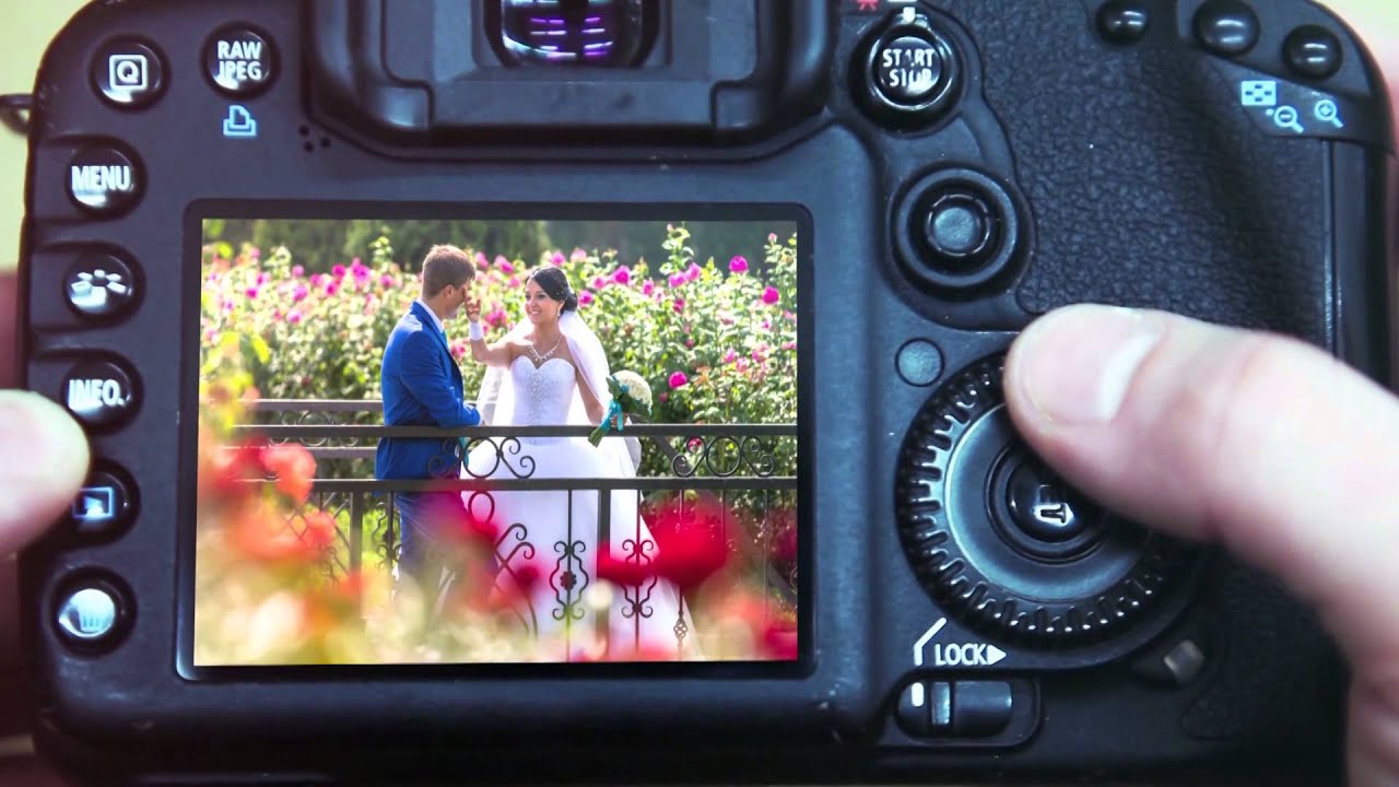 VI-VIDEO fotografie şi video profesionale - YouTube