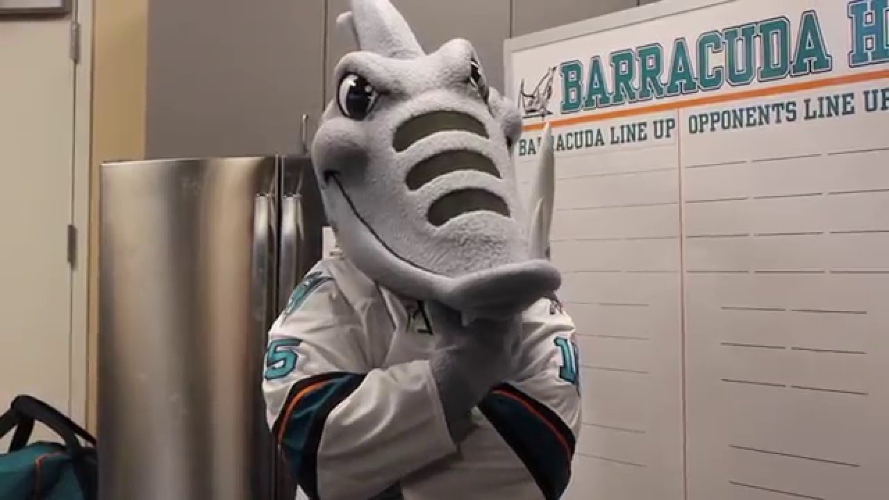 Barracuda Mascot