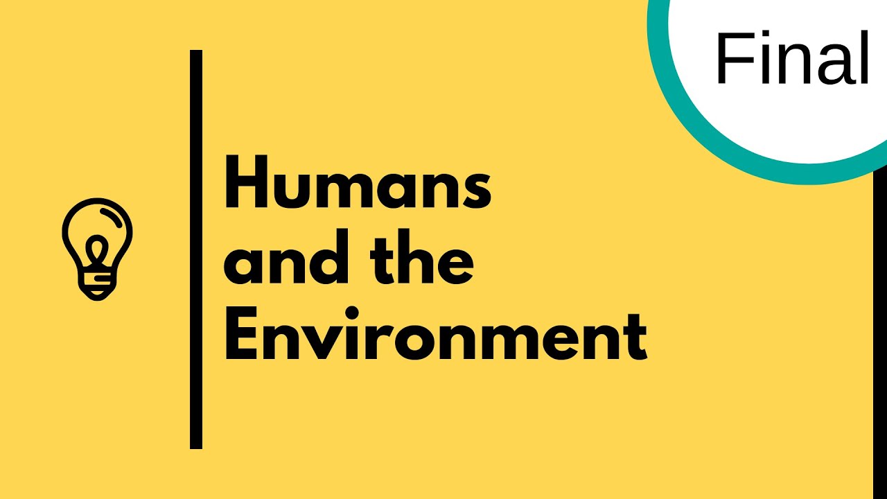 Human Influences on the Eco System - IGCSE Biology - YouTube