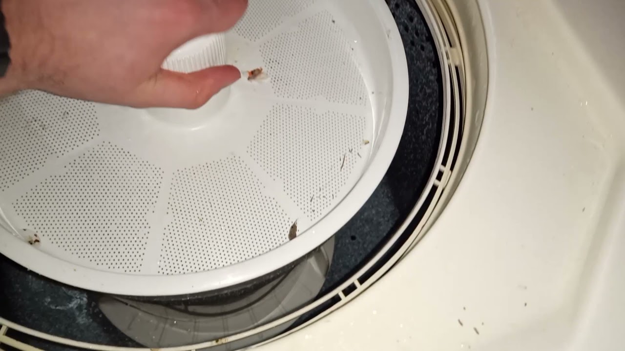 GE Filter Flo: Empty Mini basket wash - YouTube