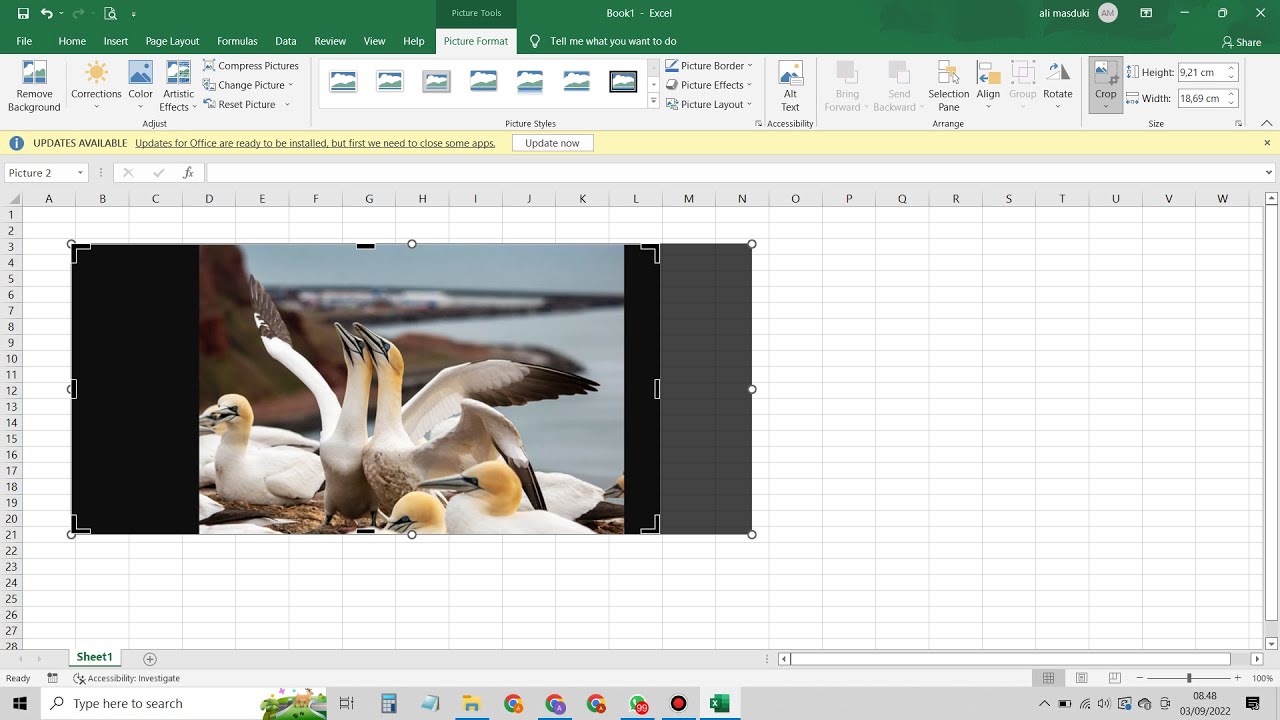 Cara Crop Memotong Gambar Di Microsoft Excel YouTube cara-crop-memotong-gambar-di-microsoft-excel-youtube