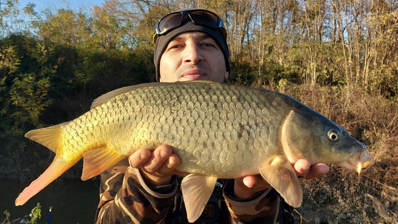 Pescuit la CRAP. - YouTube