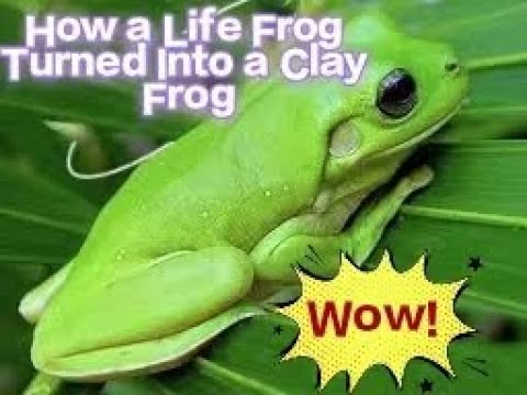 How I Turned a Life Frog into a Clay Frog - YouTube