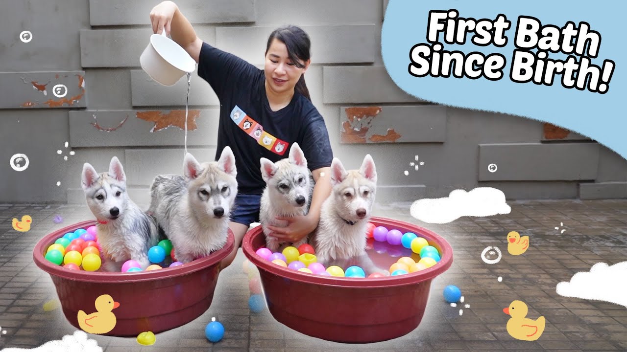 MAGLABA TAYO NG MGA TUTA (NABINGI KAMI!) - YouTube