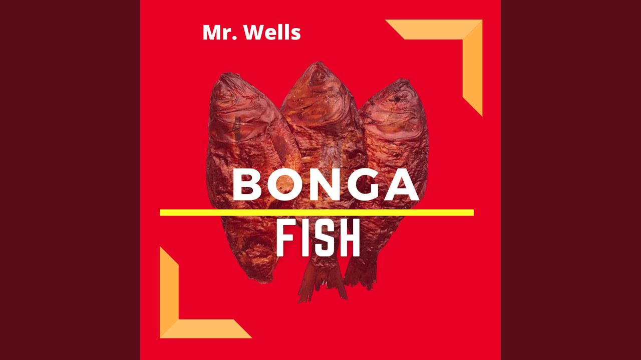 Bonga Fish - YouTube