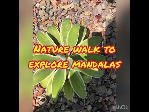 Mandala Art for kids using nature materials - YouTube