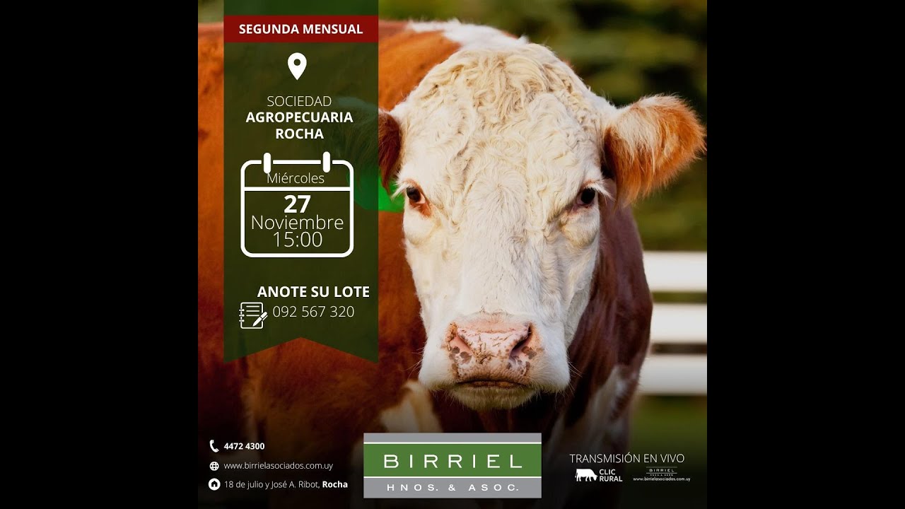 27/11/2024 Segunda Feria - Birriel Hnos y Asociados/ Sociedad ...