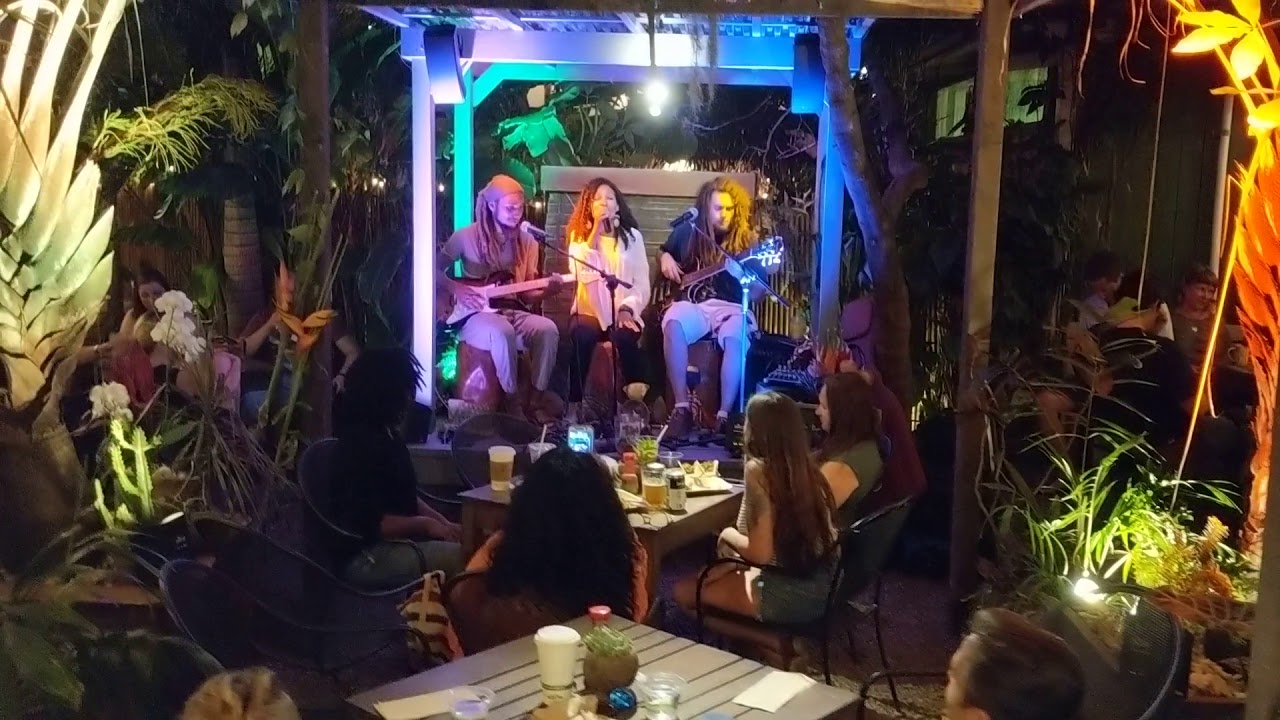 Tanama Colibri Live at Paia Bay Coffee & Bar - YouTube
