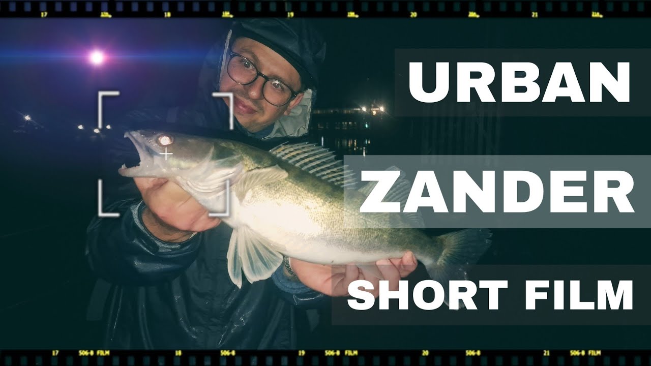 Hunting Zander in the Rain! (urban short film) - YouTube