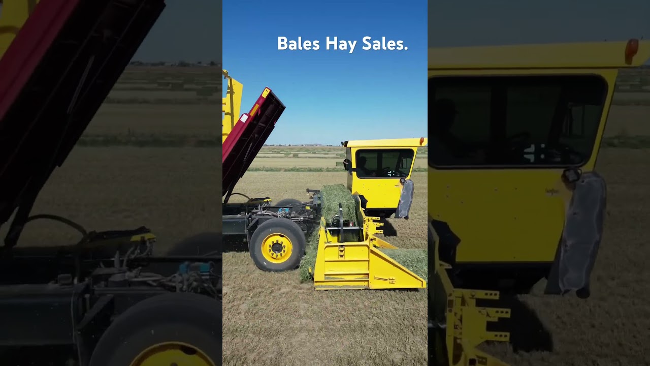 Picking up 3 string bales. The efficient way. | Bales Hay Farm and ...