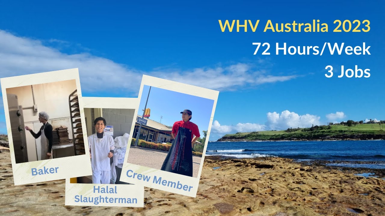 Pengalaman 3 Kerjaan di Outback & dapetin payslip 2nd Year Visa di Meat ...