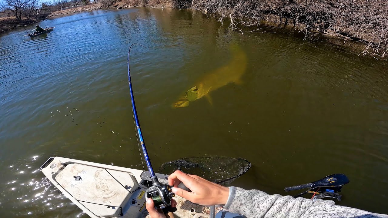 Fishing a SMALL RIVER for GIANT MUSKIES! (12 MUSKY IN ONE DAY) - YouTube