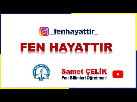 2021 LGS 8 .Sınıf Fen Bilimleri Madde Ve Isı  Öz Isı Kavramı ( #fenhayattır)