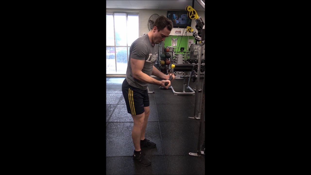 How To: Reverse Grip Triceps Pushdown - YouTube