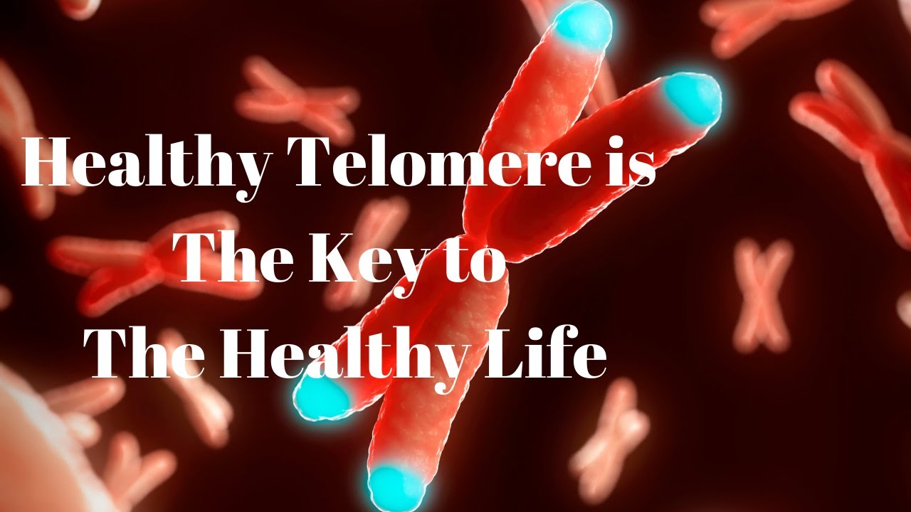 How to Live Longer and Healthier [Telomeres Support] Biological Age ...