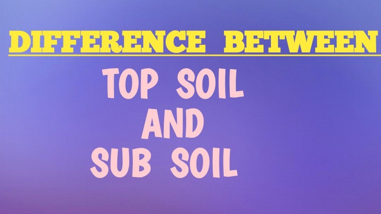 Difference between Top soil and Sub soil. /#science. - YouTube