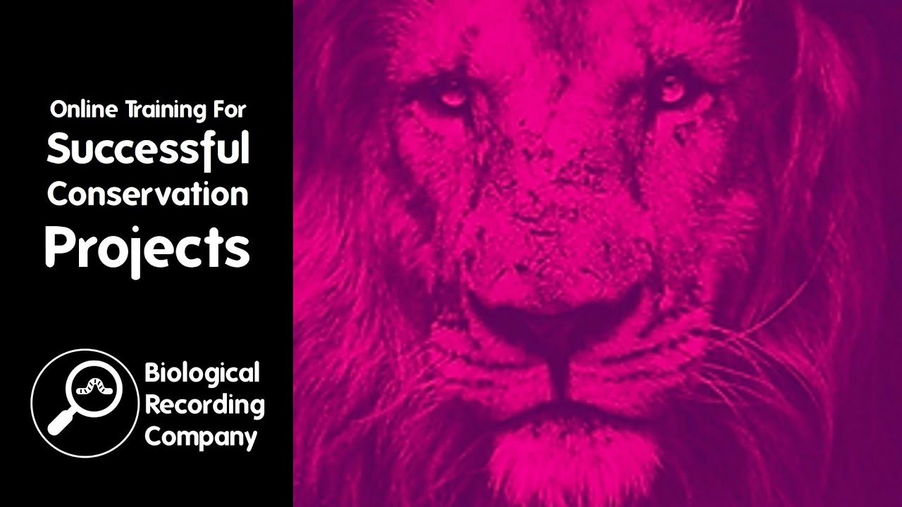 Online Training for Successful Conservation Projects - YouTube