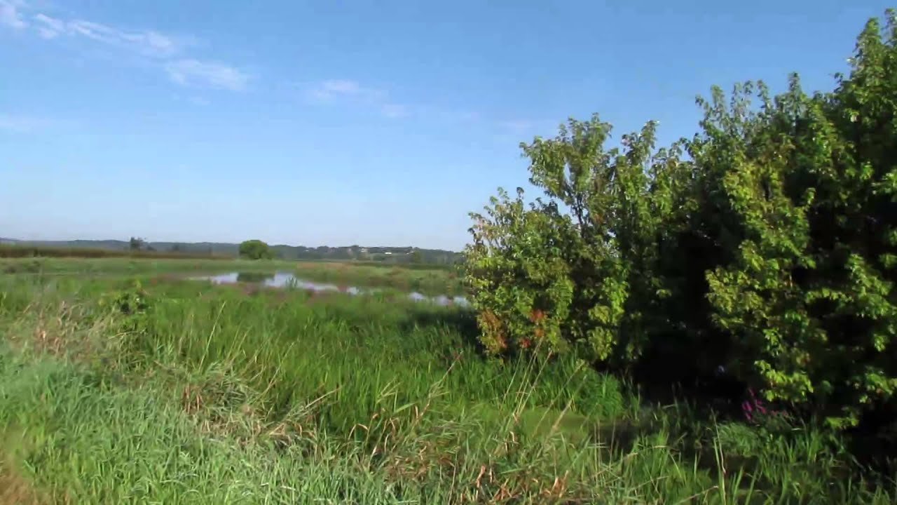 VERNON WILDLIFE AREA- LANDSCAPE - YouTube