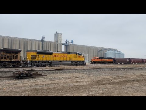 UP 8366 (Cab Flag ACe) leads the MWTFW + BNSF Train Y-NYF1061 at Saginaw, TX - YouTube
