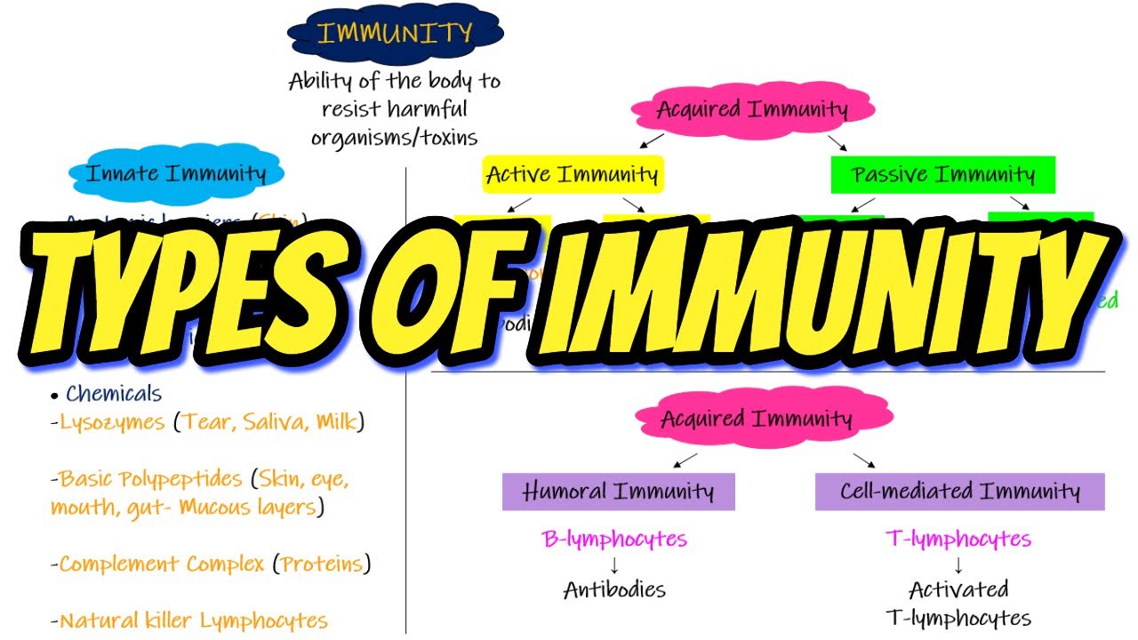 Types of Immunity. Chapter 35 part 1. Guyton and Hall Physiology. - YouTube