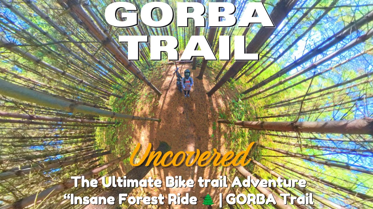This Trail Surprised Me! | GORBA Trail, Ontario 🚵‍♂️ - YouTube