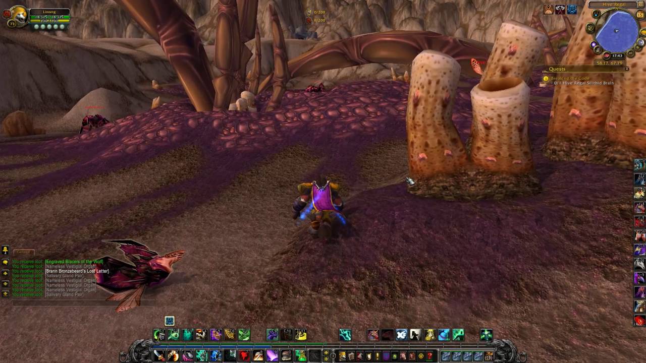 Breaking The Code Quest ID 8310 Playthrough Silithus - YouTube