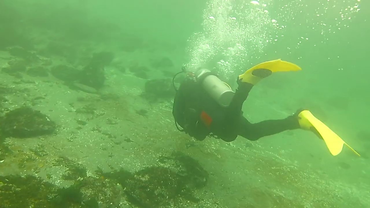 9 NOV 19 Les Davis Dive Video #4 - YouTube