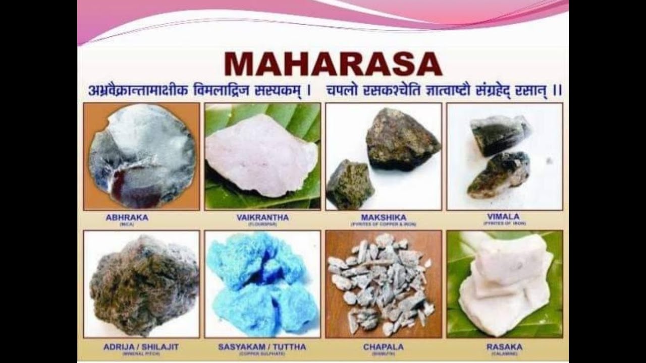 Unforgettable Revision of maharasa with tricks within 20 min - YouTube