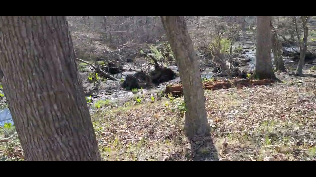 The Journey Continues - Pablo Apollo's Backyard Wyld Life - YouTube
