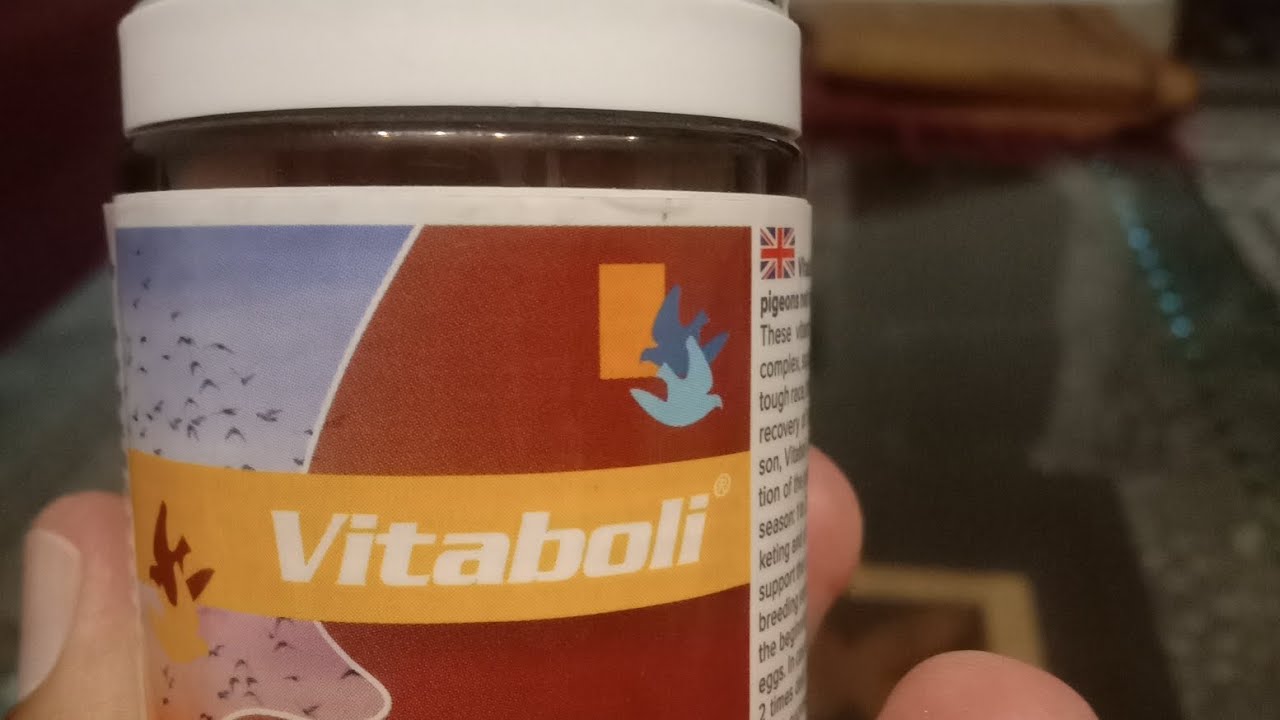 computation traning with vitaboli - YouTube